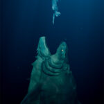 Gallery | Spruce Moki Animation Studio