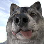 Gallery | Spruce Moki Animation Studio